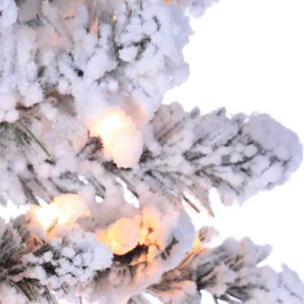 image_0c4e87fb-eeea-456a-b1a1-e341bfbf8d41_1024x1024.jpg?v=1579661781